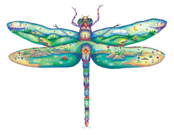 Nora Butler | Damselfly II Print – Nora Butler Designs